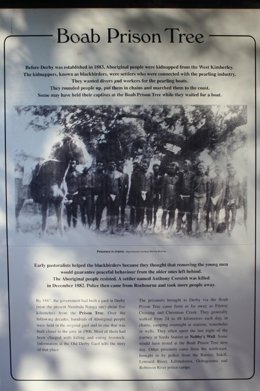 8 Derby Prison Tree sign | Seeingoz